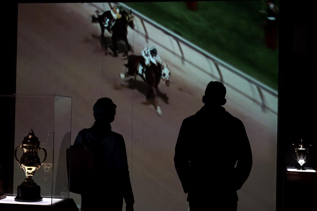 Triple Crown winner Secretariat still dominant 50 years on – sdpn